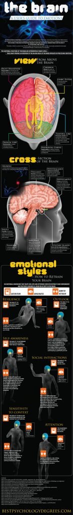 Brain Power: Your Brain and Its Emotions [Infographic]Zenlama